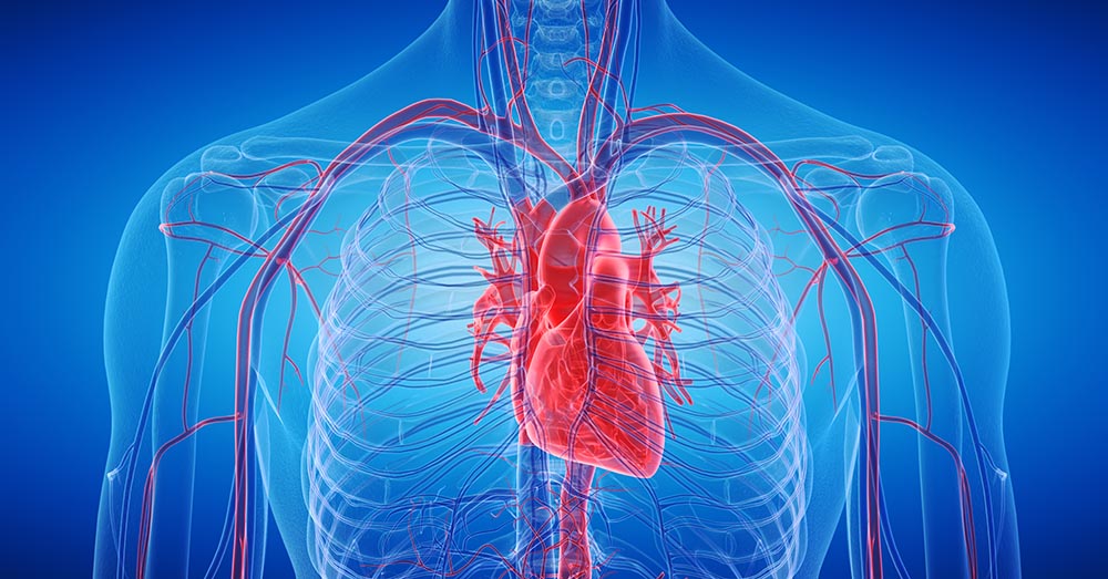 Heart Attack vs. Cardiac Arrest: Knowing the Difference Can Be Lifesaving